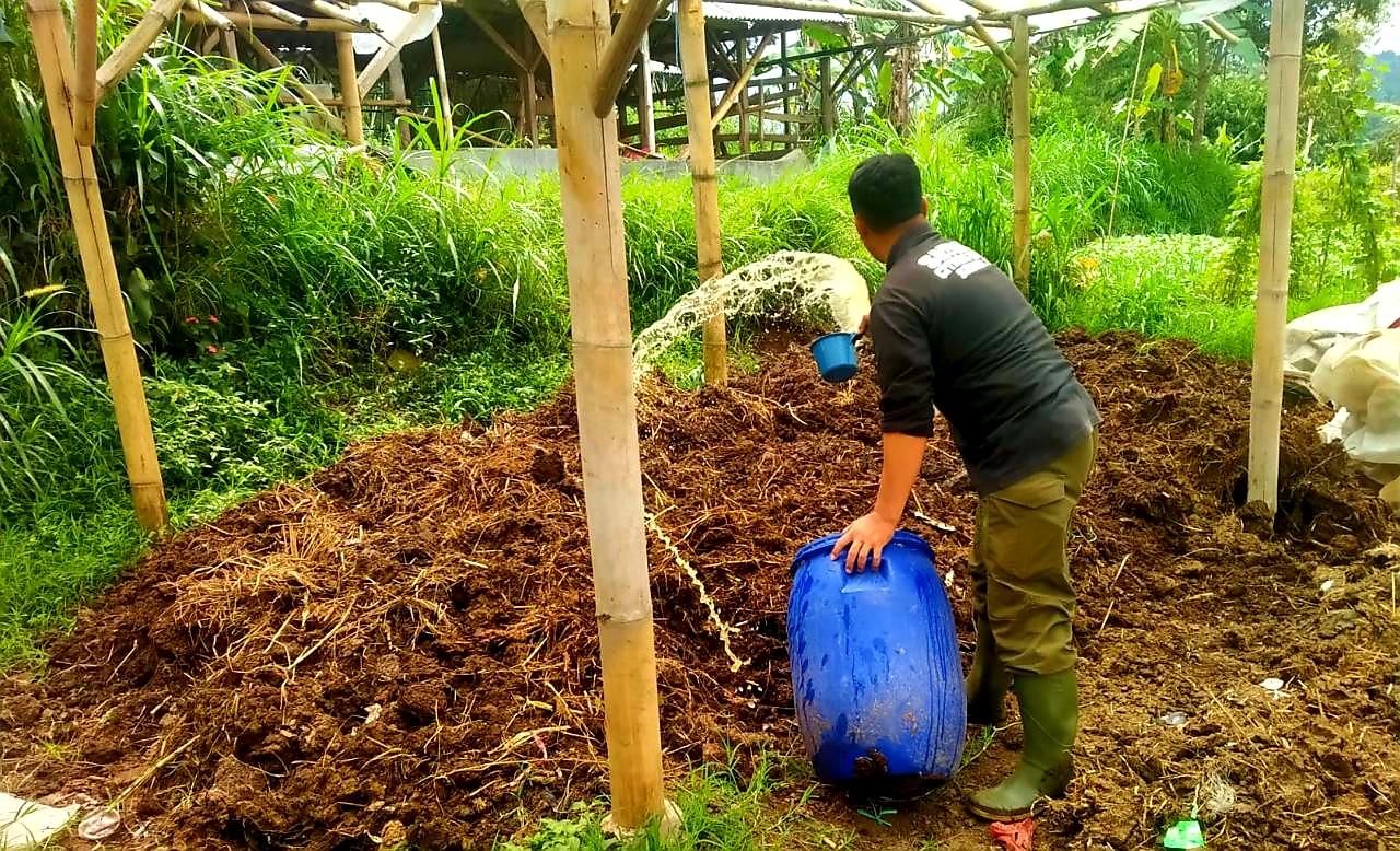Bios 44 DC Sulap Kotoran Sapi Jadi Pupuk Organik Ramah Lingkungan ...