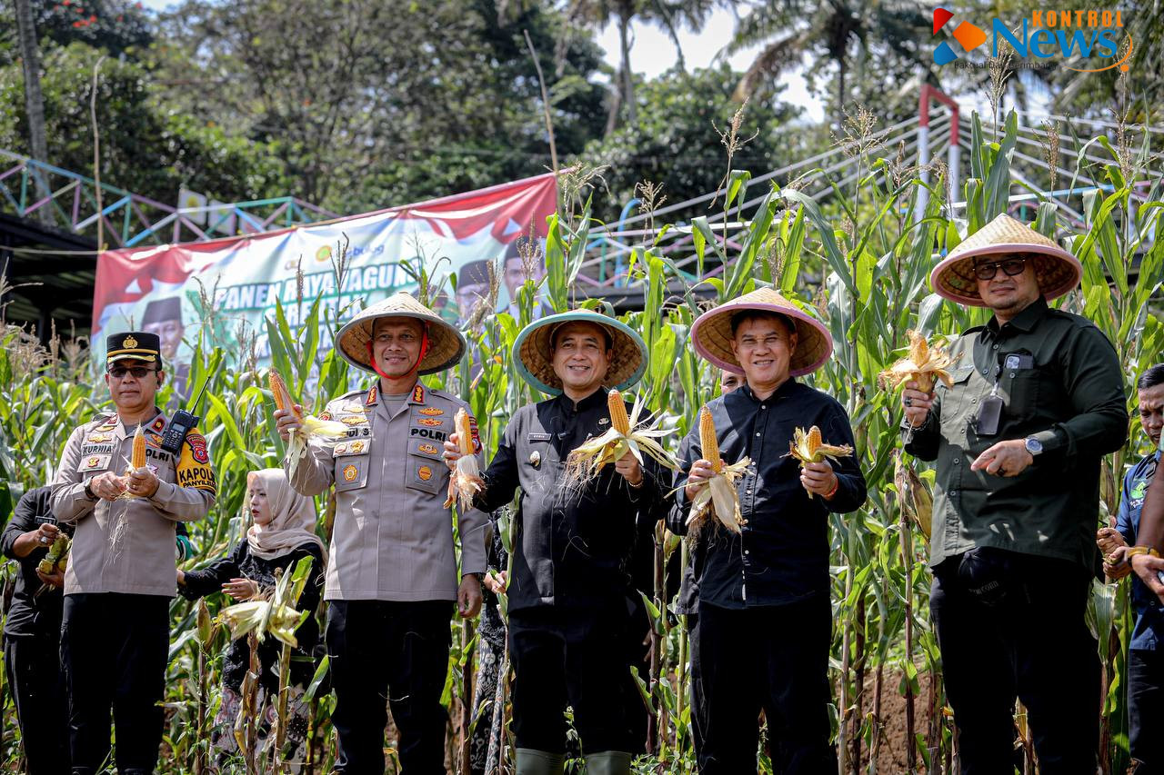Kota Bandung Panen Raya Jagung, Dukung Target Swasembada 2025 | Kontrol News
